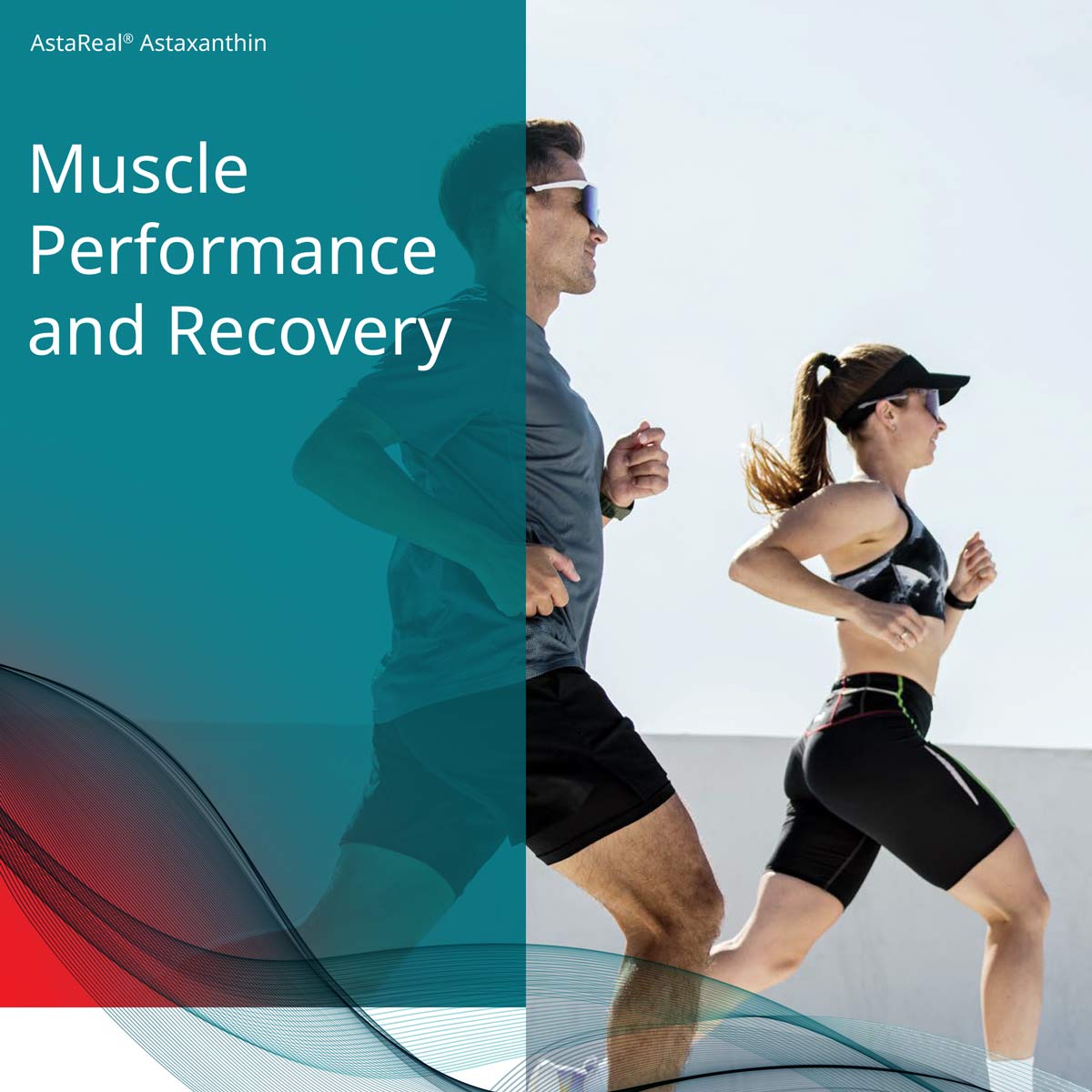 Muscle Performance & Recover – Info Sheet – AstaReal USA